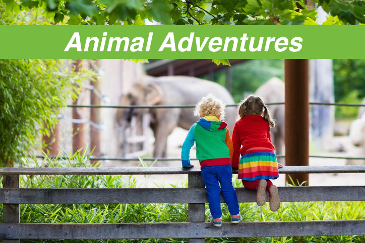 Animal Adventures - Sober Syracuse