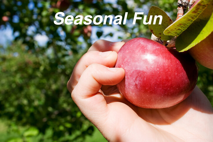 Seasonal Fun - Sober Syracuse